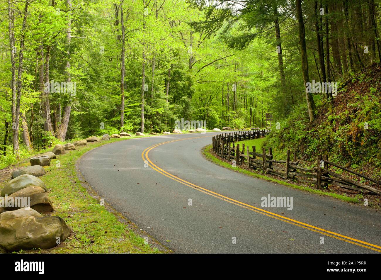 A two lane curved road runs through a forest in eastern Tennessee Stock ...