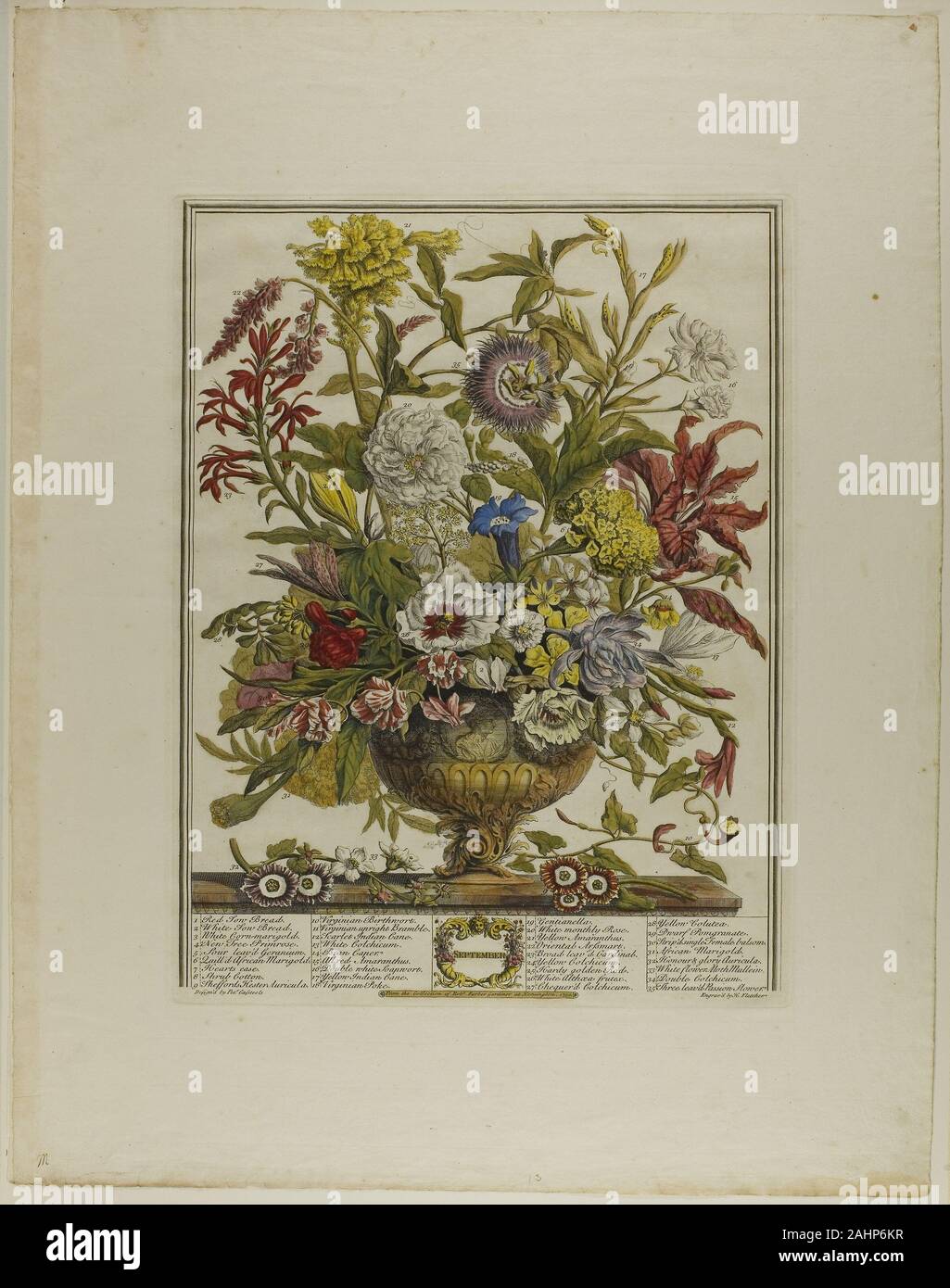 Henry Fletcher (Engraver). September, from Twelve Months of Flowers ...