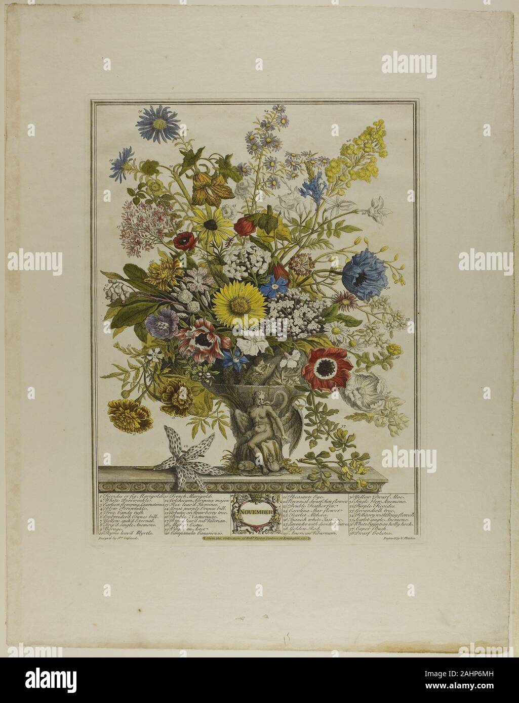 Henry Fletcher (Engraver). November, from Twelve Months of Flowers ...