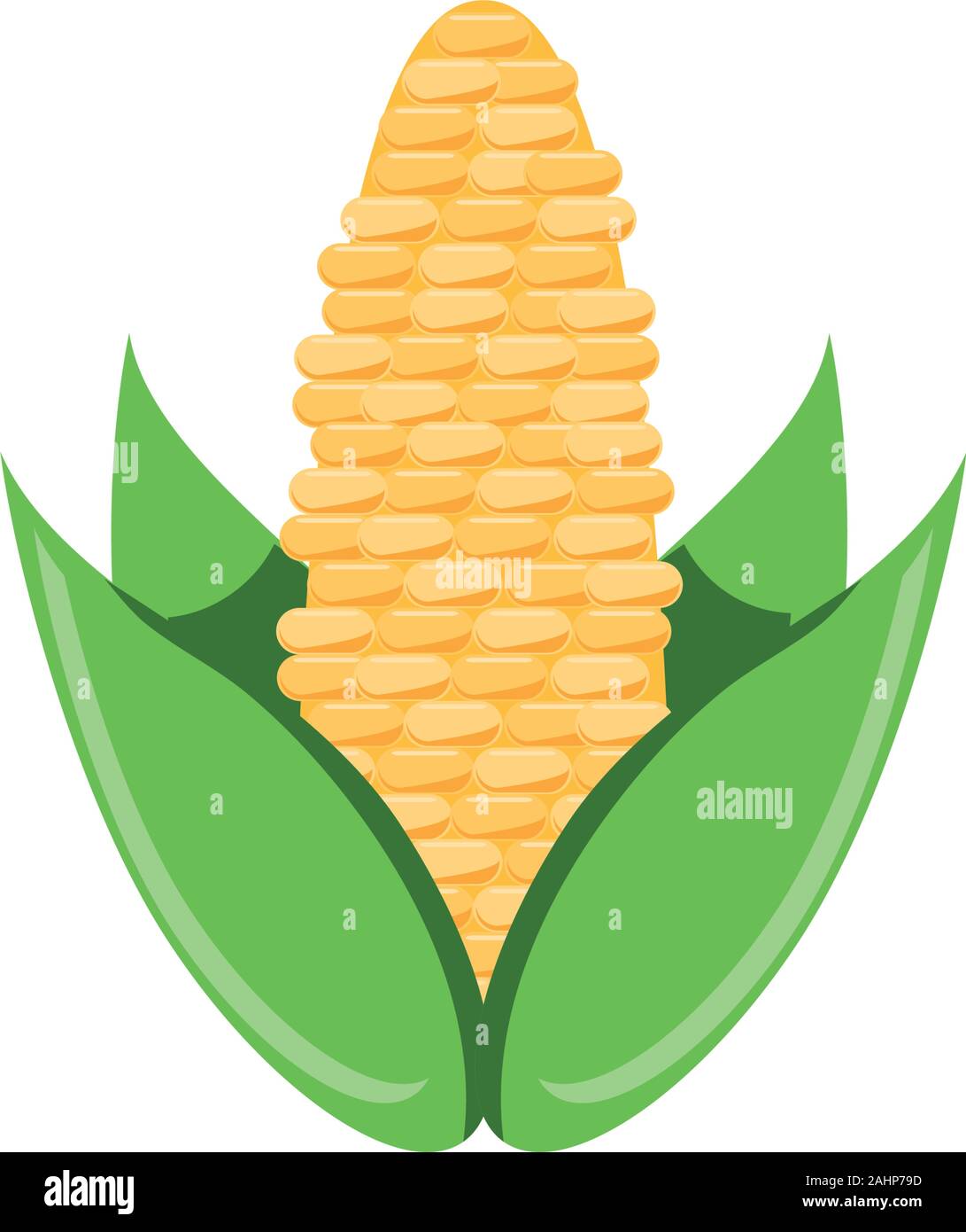 sweet corn in white background vector illustration design Stock Vector ...