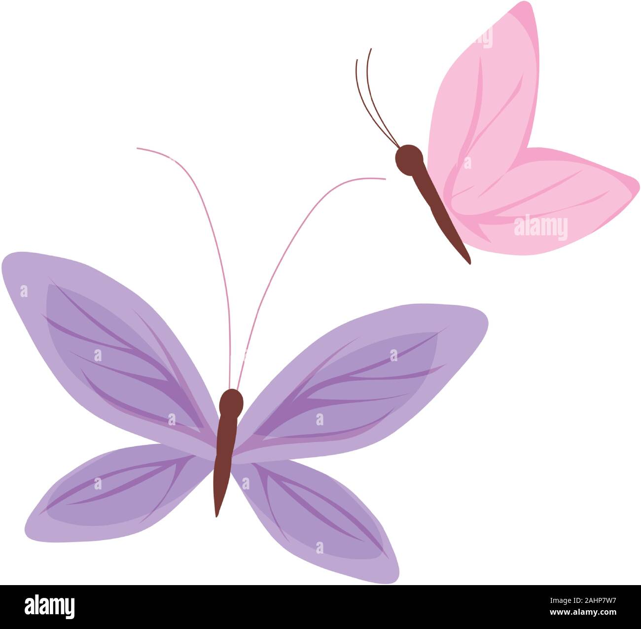 Cute Butterfly Designs