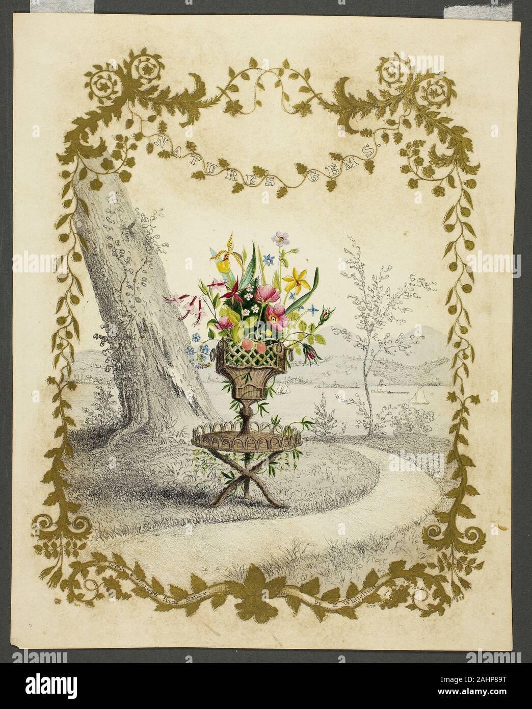 Edwin Whitefield. Nature's Gems. 1839–1849. United States. Lithograph ...