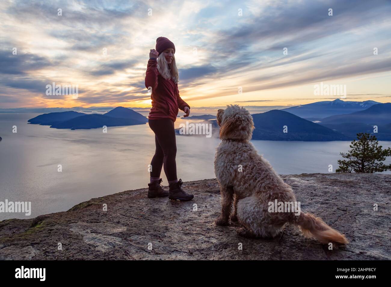 Adventurous Girl Hiking on top of a Mountain with a dog Stock Photo - Alamy