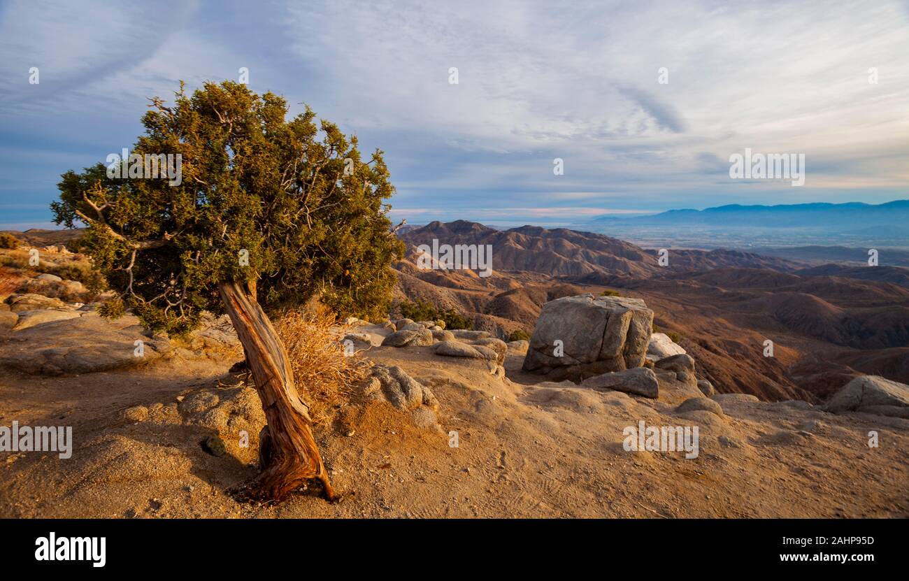Coachella Valley from Keys View, Joshua Tree National Park Stock Photo ...