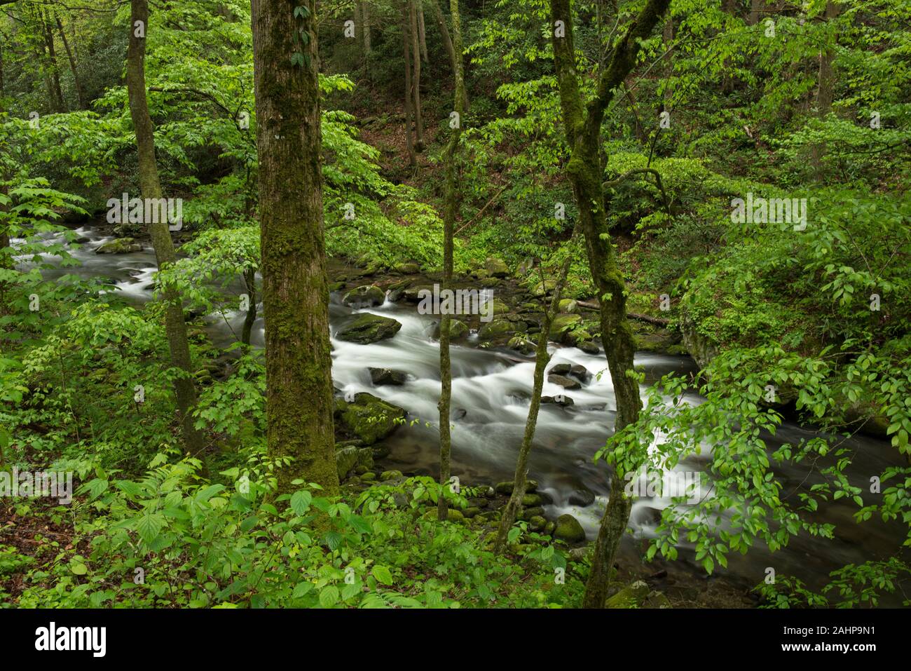 Rushing to leave hi-res stock photography and images - Alamy