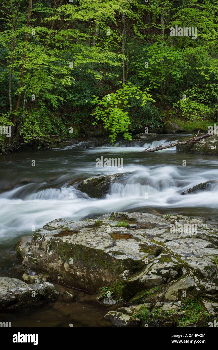 Tennessee wilderness hi-res stock photography and images - Alamy
