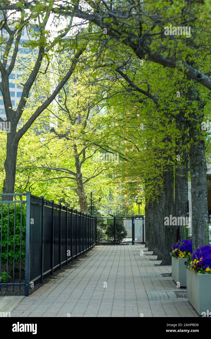 Located in Boston's Seaport region, small parks and tall buildings ...