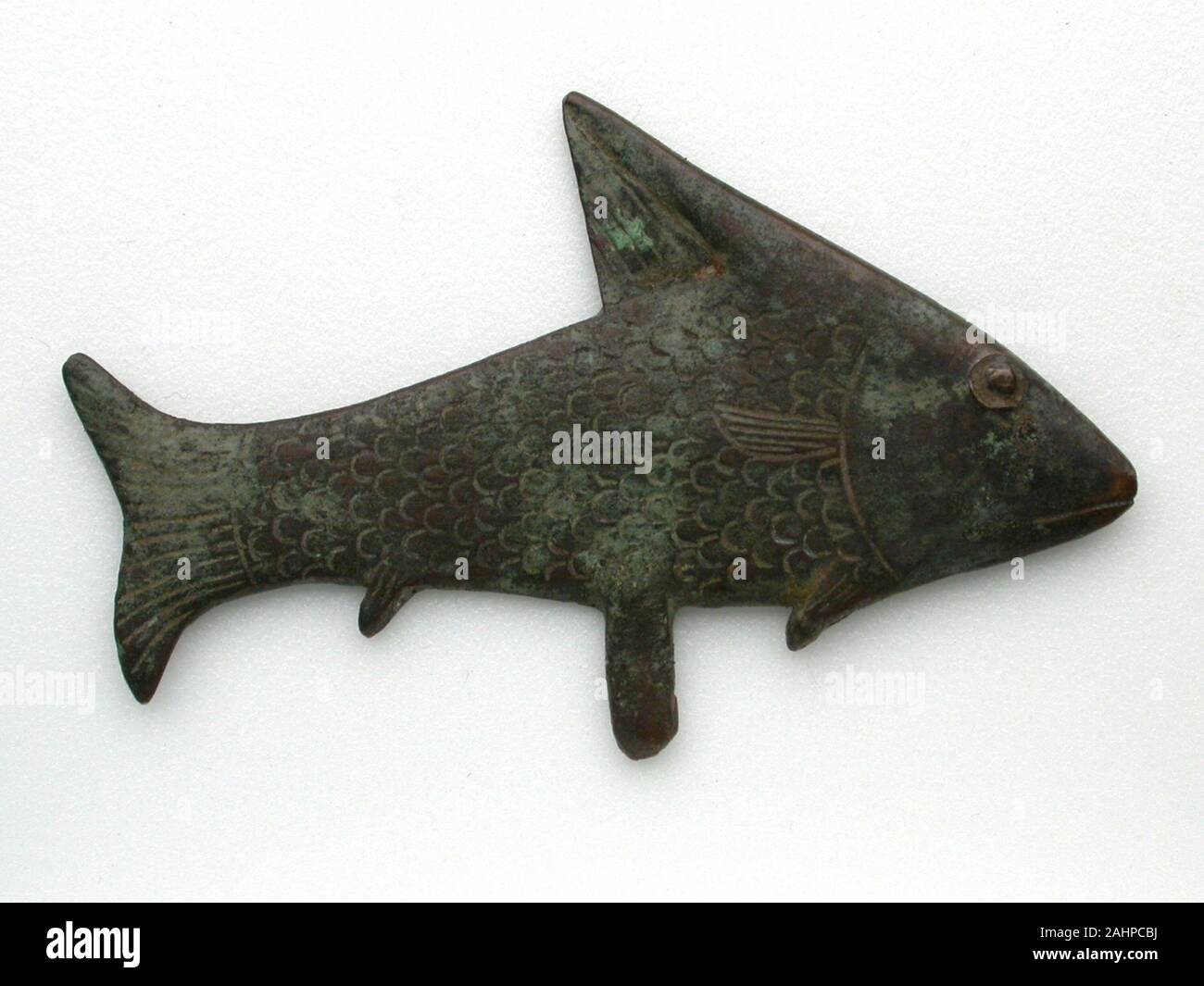 Lepidotus fish hi-res stock photography and images - Alamy