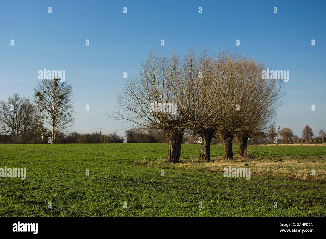 Without trees hi-res stock photography and images - Alamy