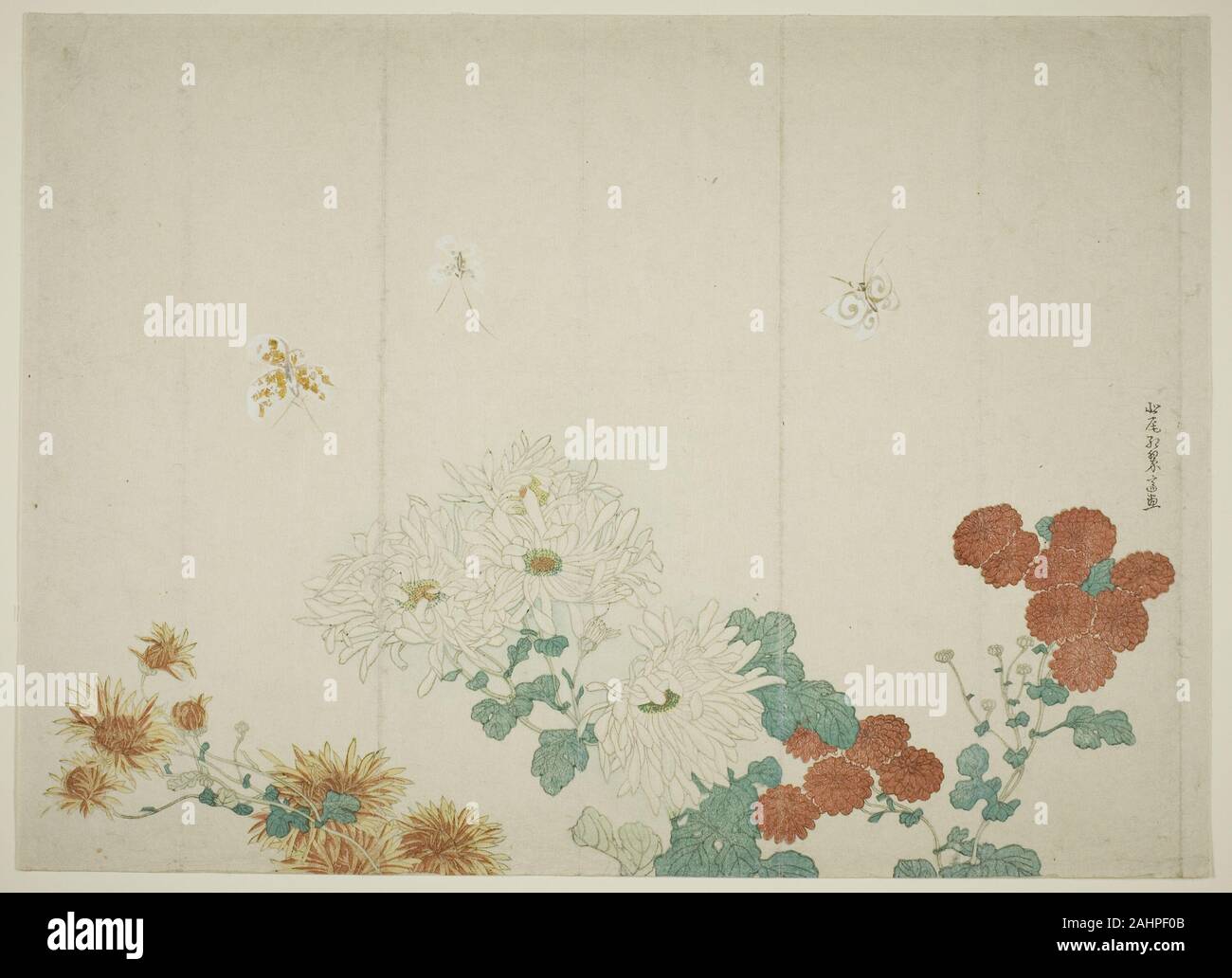 Kitao Shigemasa. Three Types of Chrysanthemums. 1785–1795. Japan. Color ...