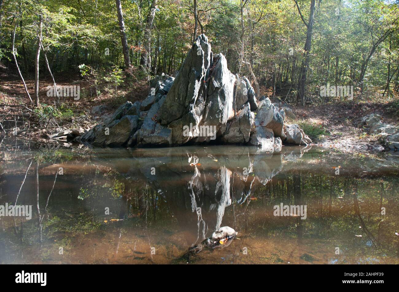A Natural Castle in the Woods, Reflection, River, Forest Stock Photo ...