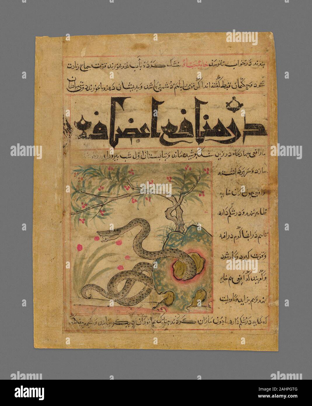 Al hayawan hi-res stock photography and images - Alamy