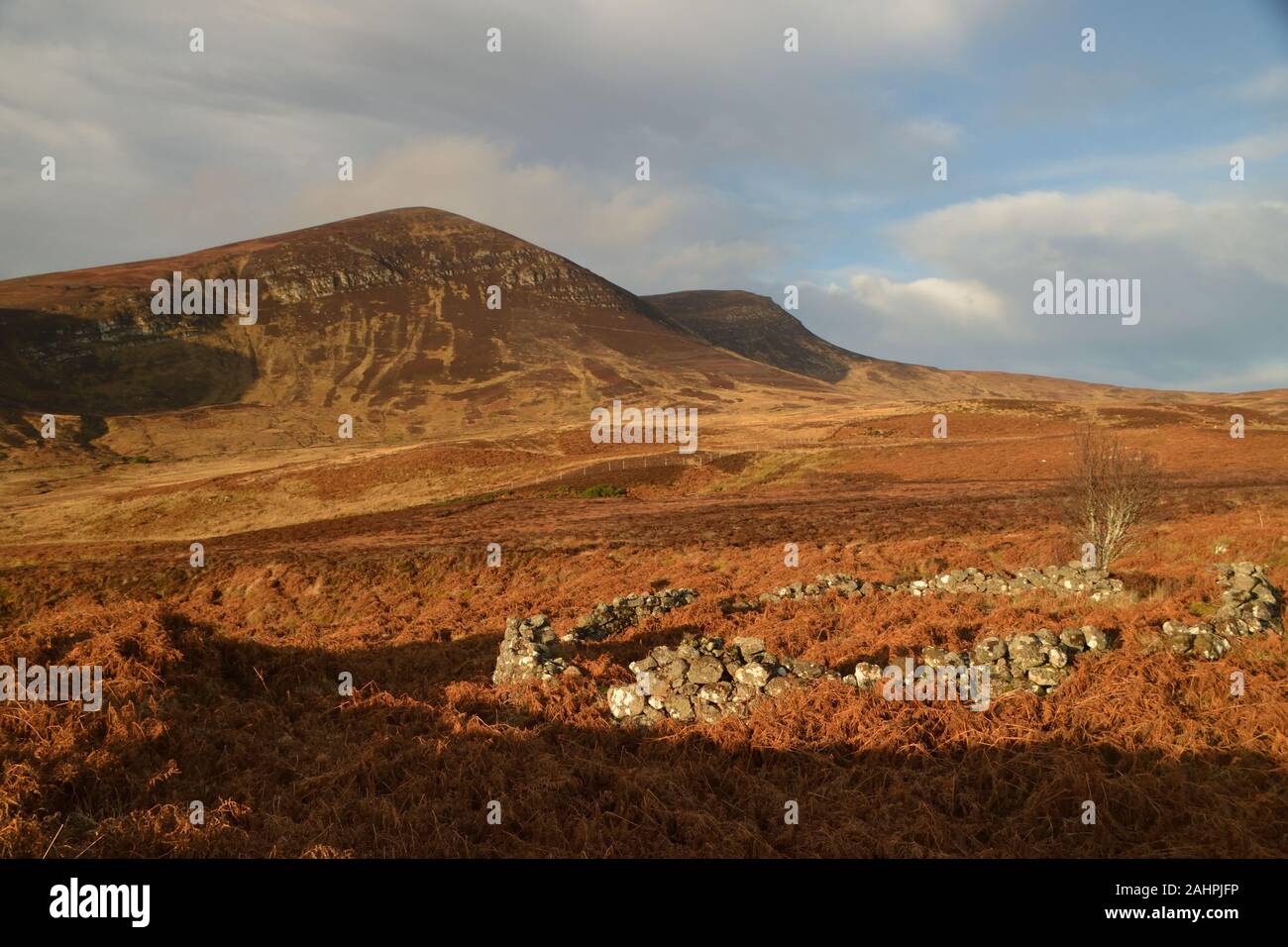 The remains of stone circular sheepfold (sheep pen) in the valley of ...
