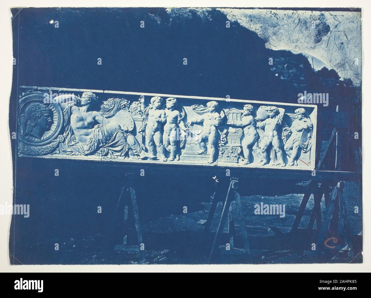 Cyanotypes hi-res stock photography and images - Alamy