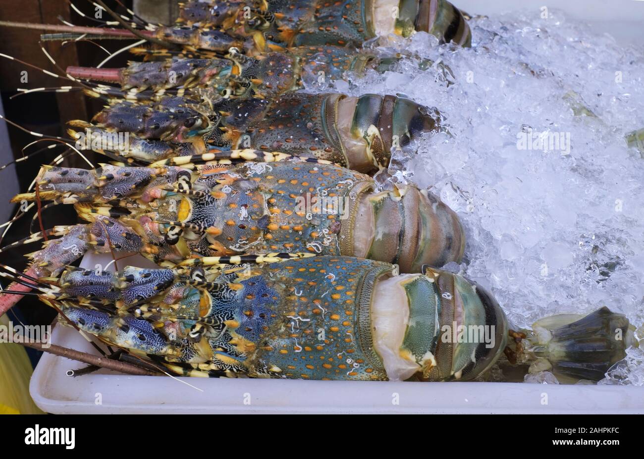 Fresh super lobsters covered with ice in tray Stock Photo - Alamy