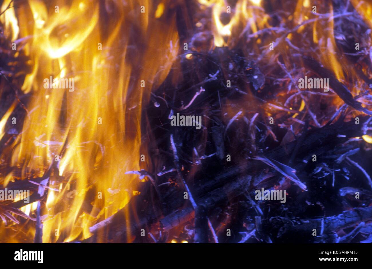 CLOSE UP OF THE FLAMES AND EMBERS OF A BUSH CAMP FIRE, AUSTRALIA Stock ...
