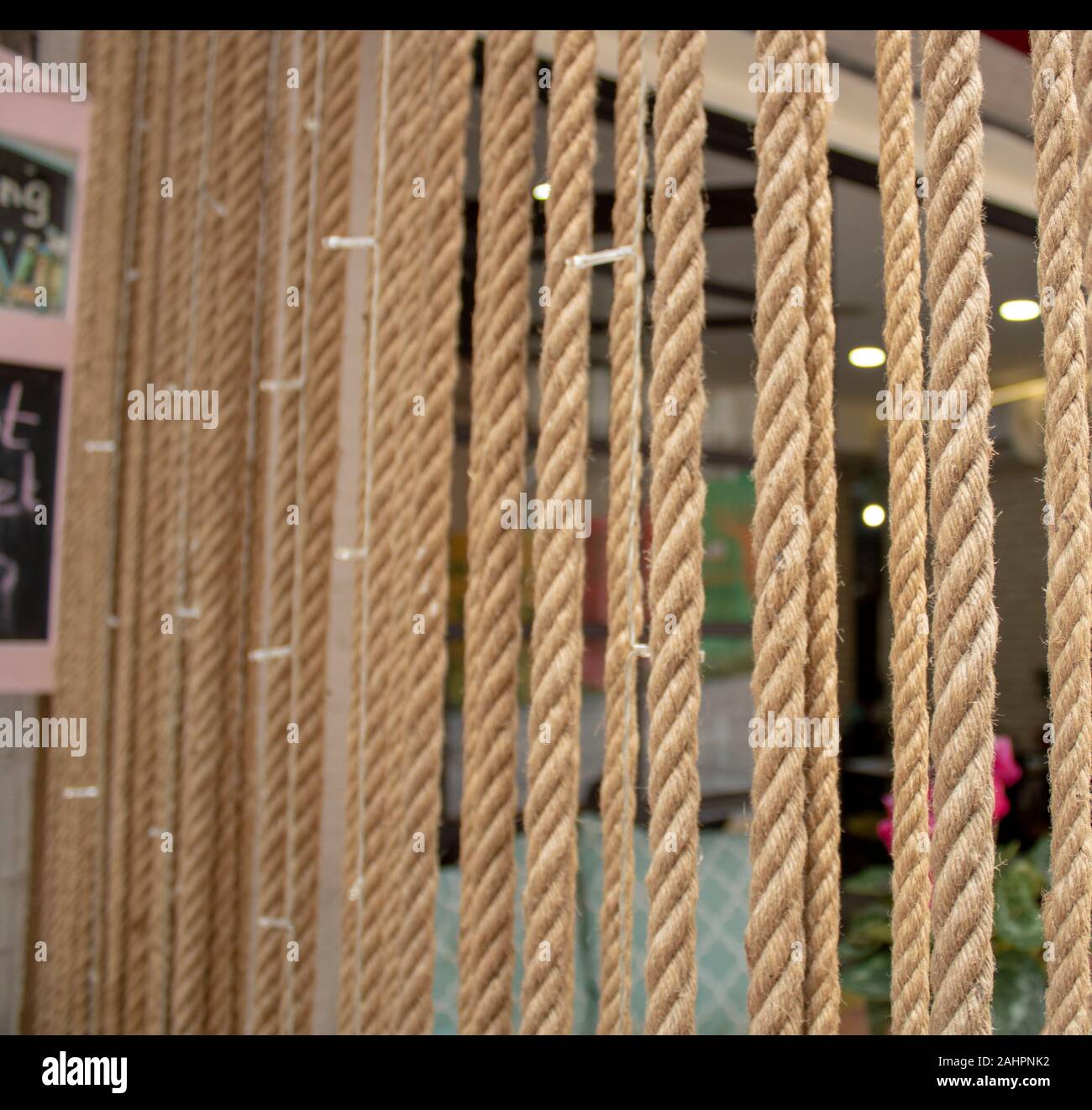 Thick ropes hanging from above in vertical shape. Decorative purpose is ...