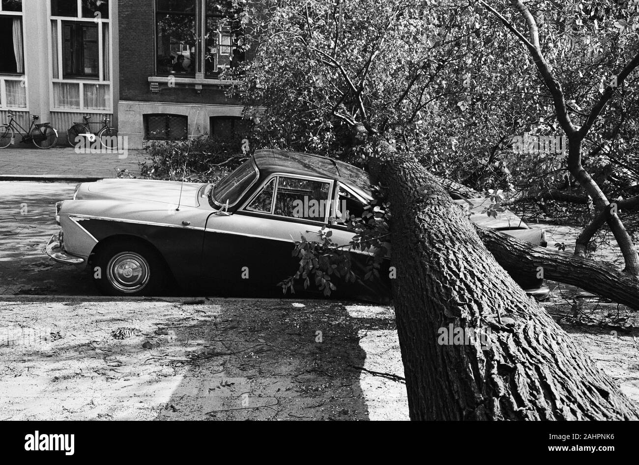 1960s car fallen tree hi-res stock photography and images - Alamy