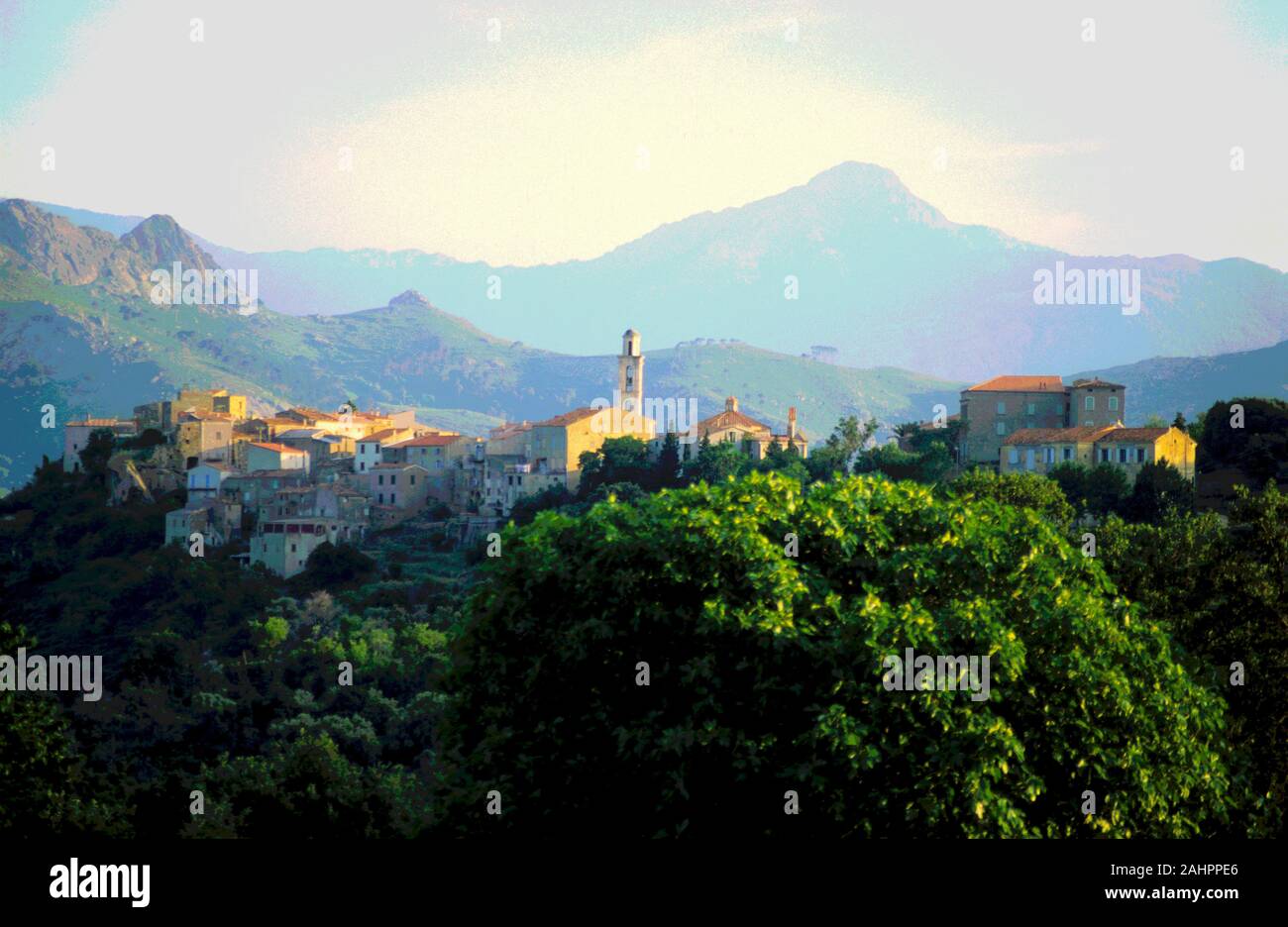 The hilltop village of Montemaggiore, Corsica Stock Photo - Alamy