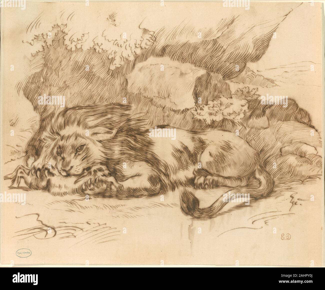 Eugène Delacroix. Lion Devouring a Rabbit. 1818–1863. France. Pen and ...
