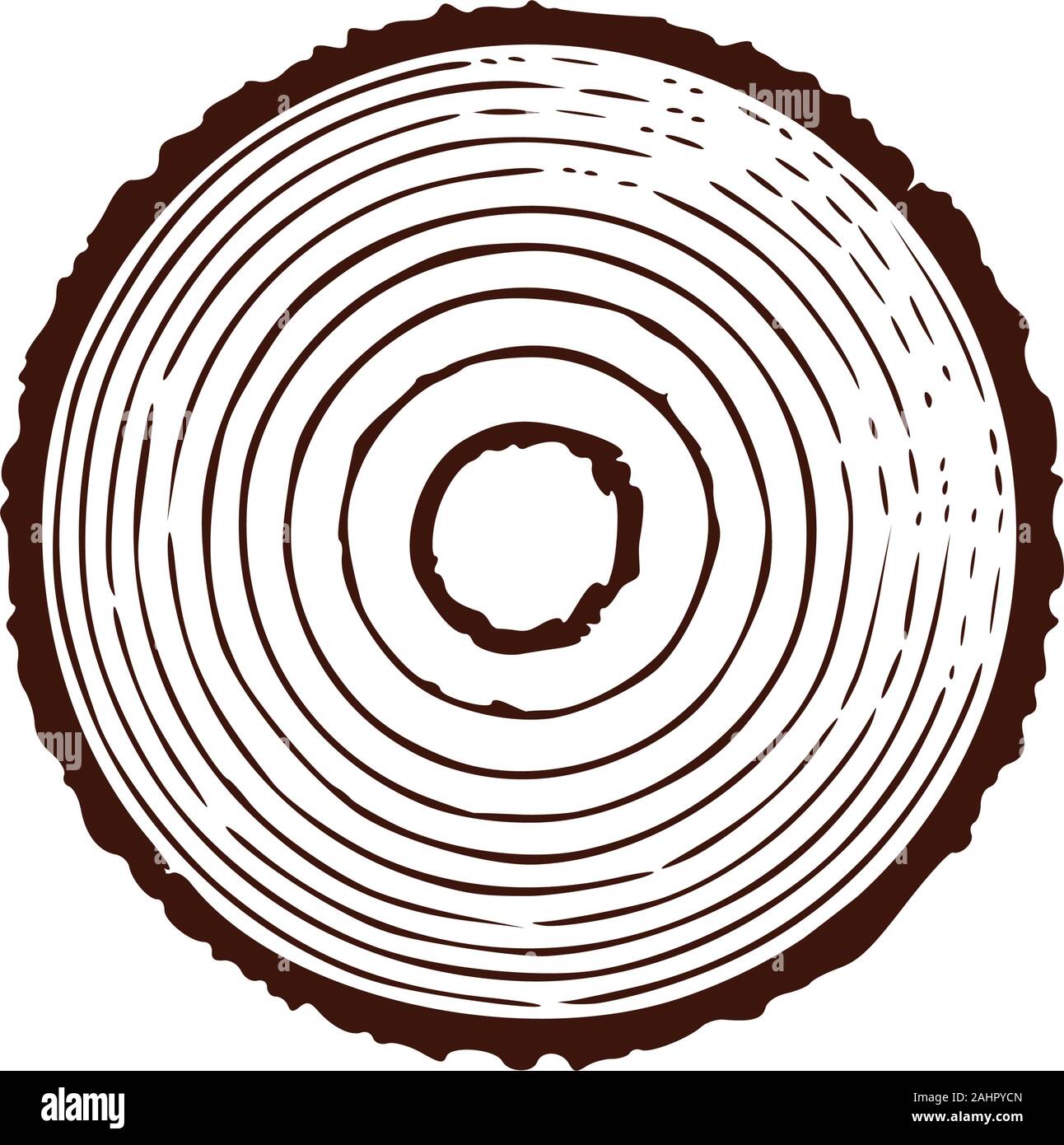 Tree trunk with rings. Annual tree growth rings. vector illustration ...