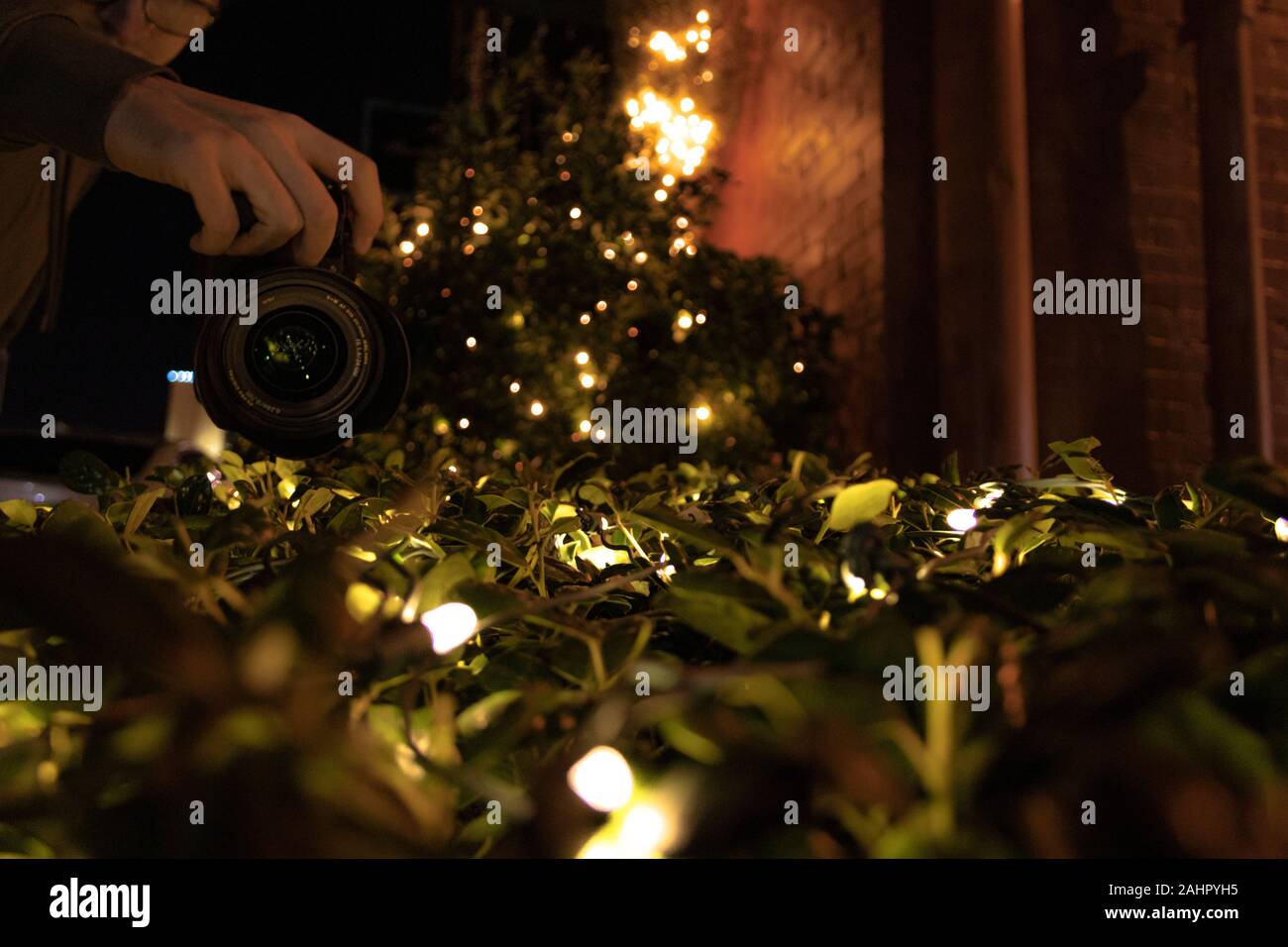 Christmas Lights and Camera Stock Photo - Alamy