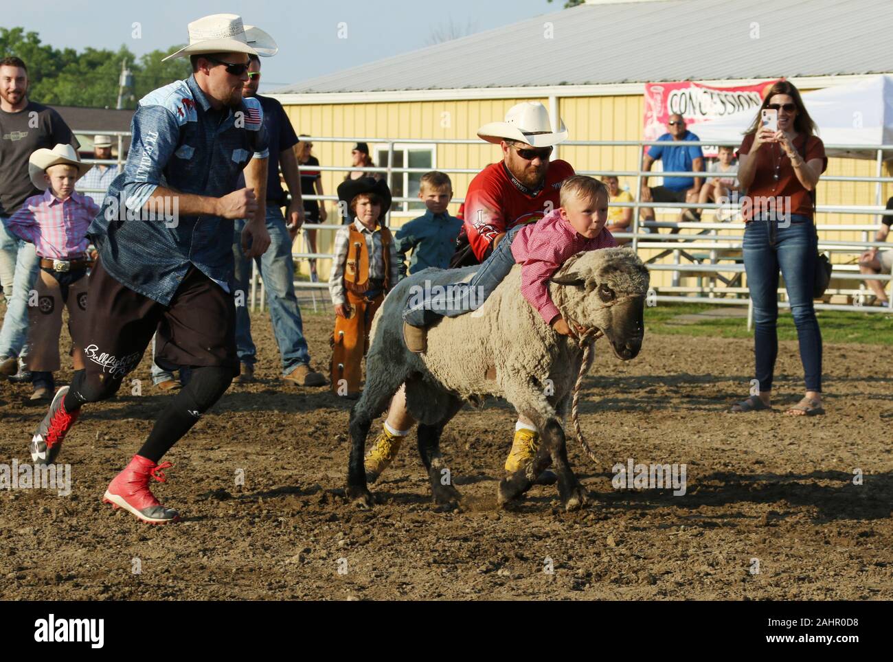 Mutton Bustin. Kids riding sheep as a rodeo fun event. Young boy takes ...