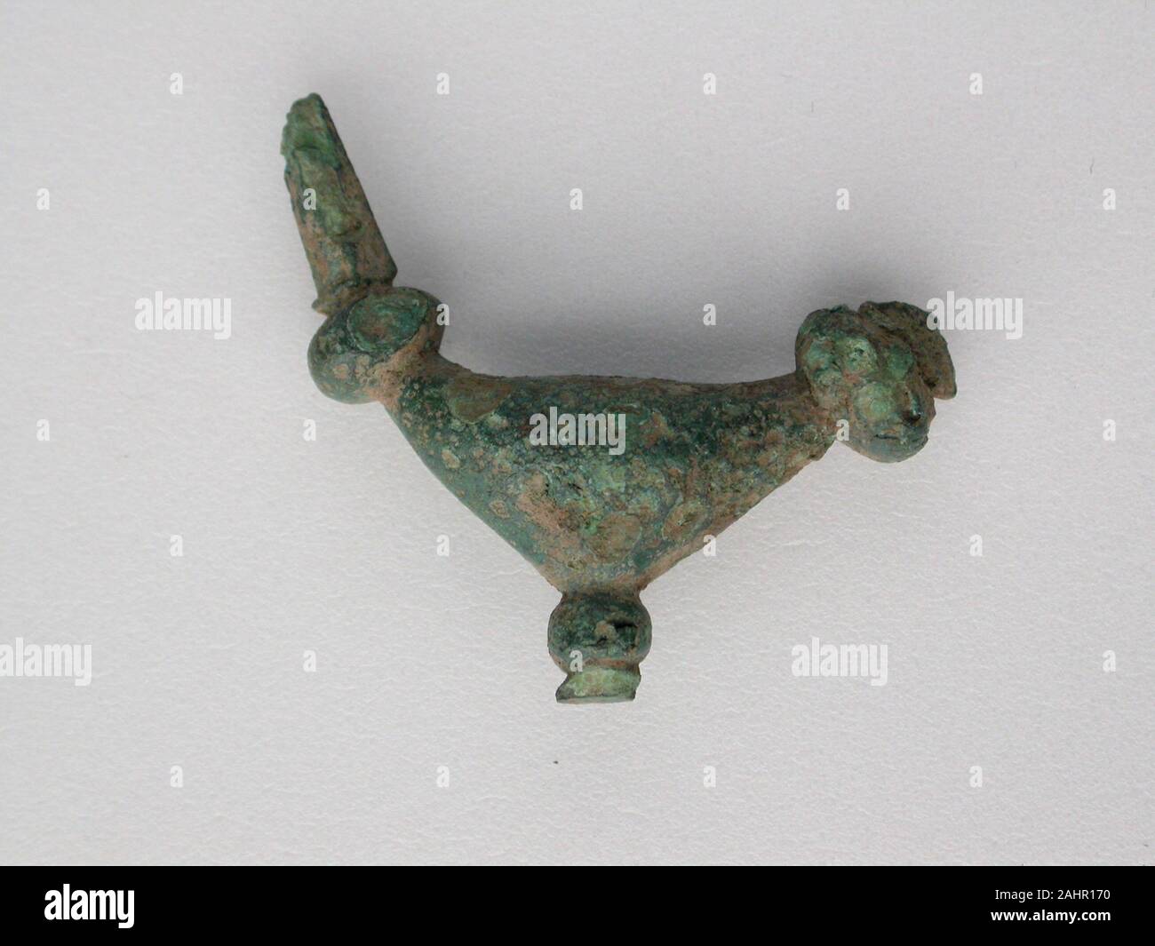 Fibula type hi-res stock photography and images - Alamy