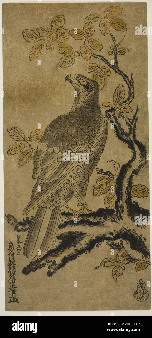 Urushi tree hi-res stock photography and images - Alamy