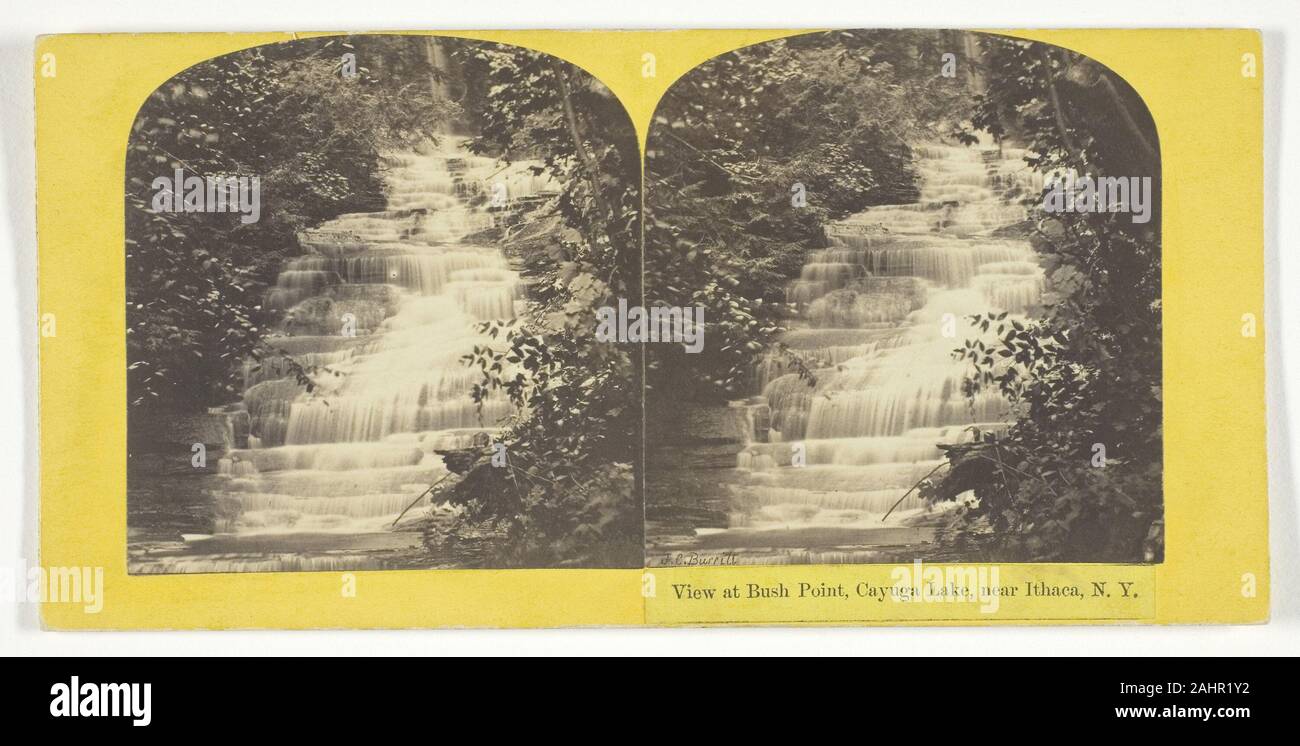 J.C. Burritt. View at Bush Point, Cayuga Lake, near Ithaca, N.Y.. 1860 ...