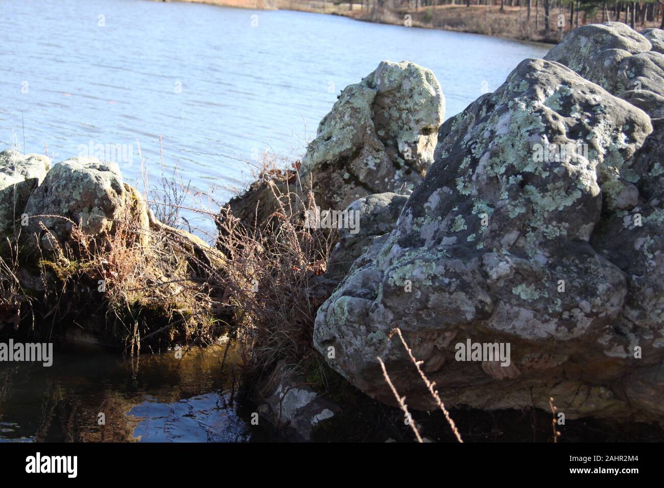 Moss covered rock Stock Photo - Alamy