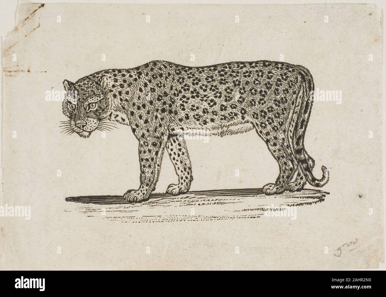 Thomas bewick woodcut hi-res stock photography and images - Alamy
