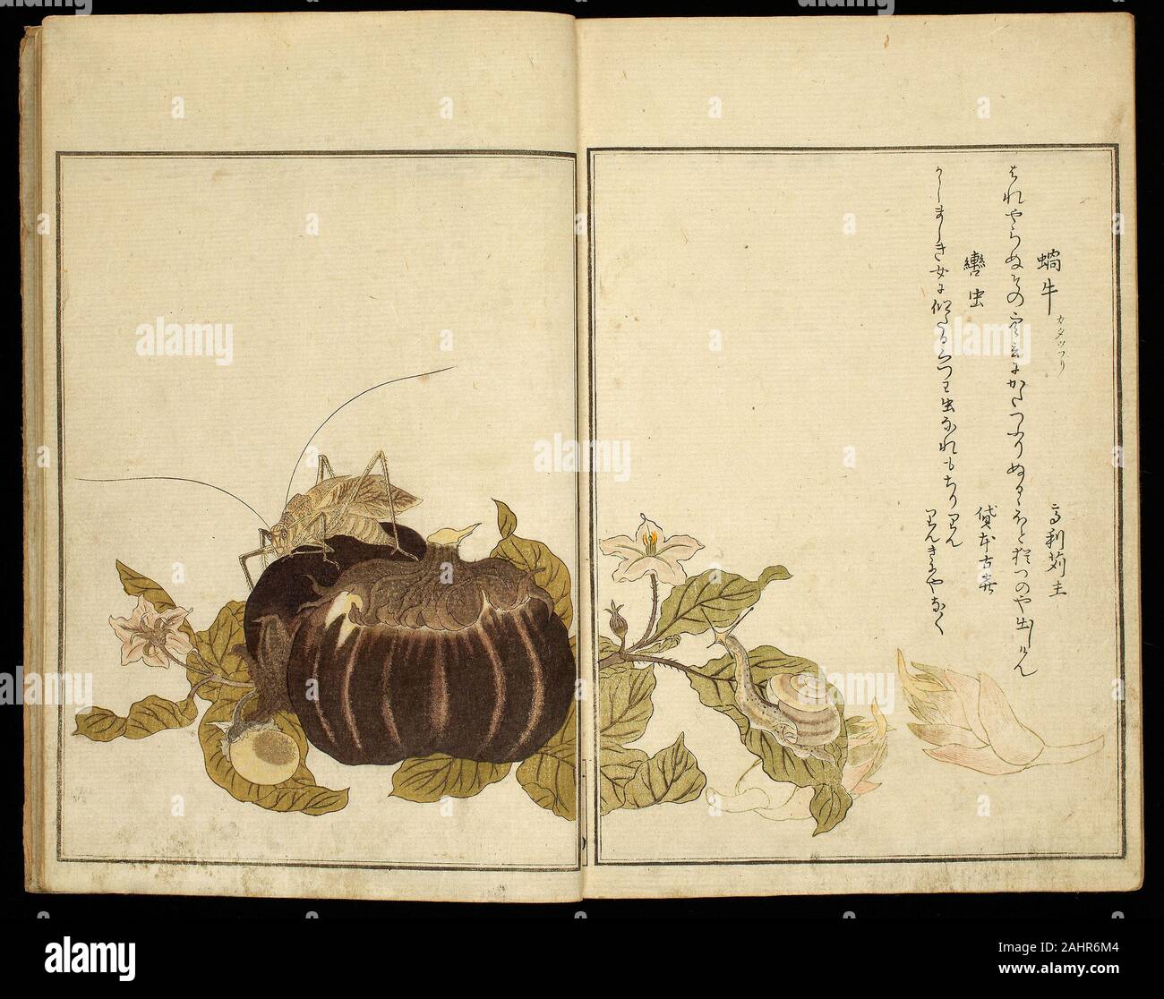 Kitagawa Utamaro. Picture Book Selected Insects (Ehon mushi erabi ...