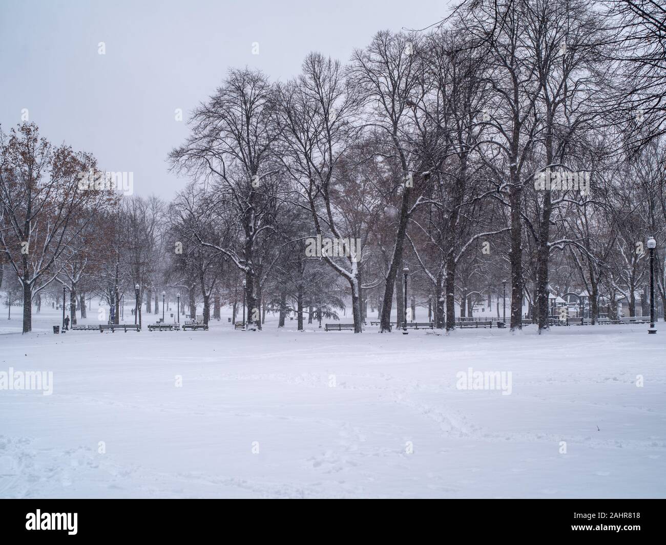Boston common park bench hi-res stock photography and images - Alamy