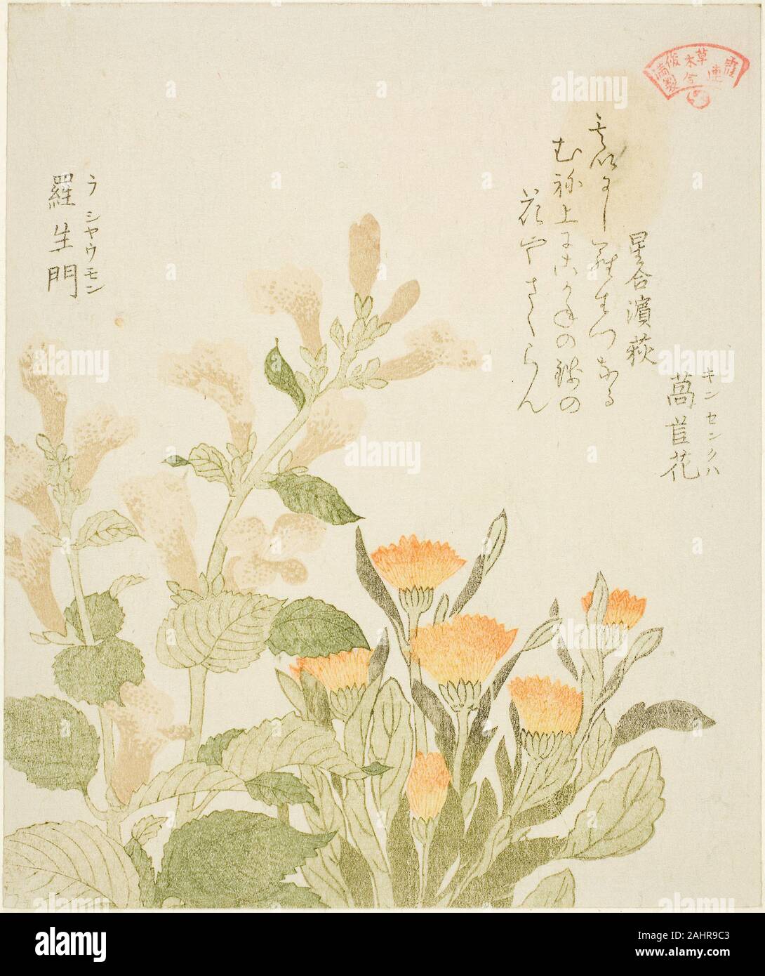 Kubo Shunman. Marigold (Kinsenka) and Rashomon Flowers, from the series ...