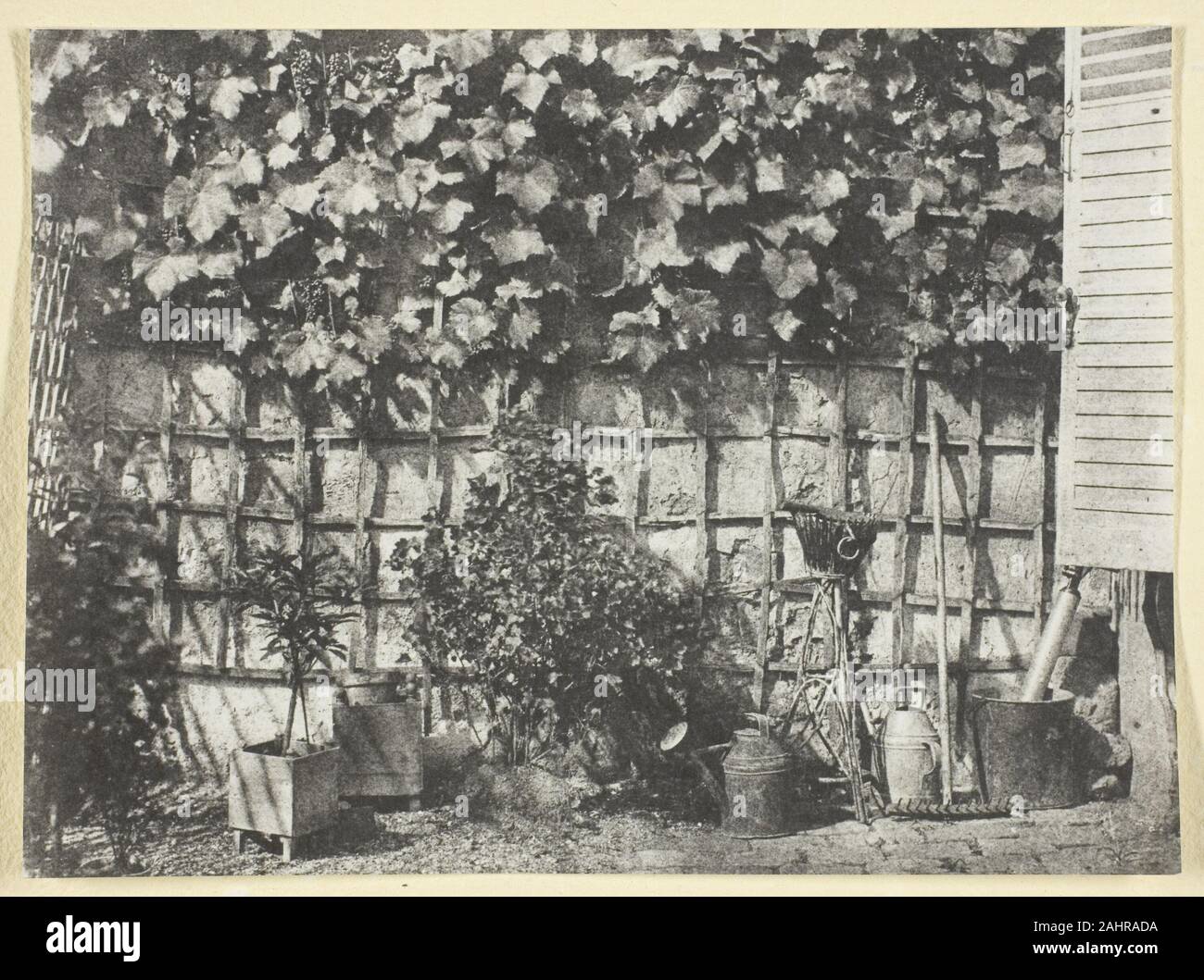 Hippolyte Bayard. La Treille. 1847. France. Gelatin silver print, No. 5 ...