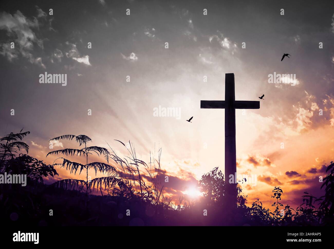 The Cross symbol of christian and Jesus Christ Stock Photo - Alamy