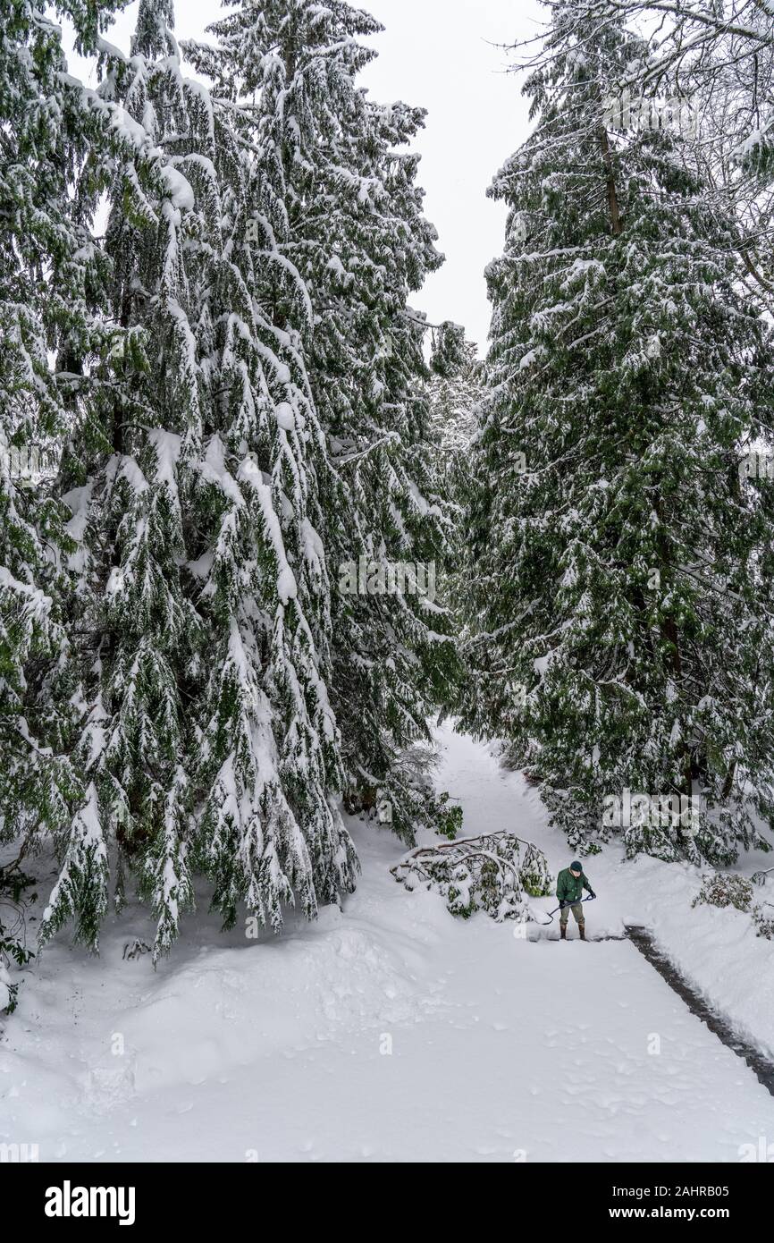 Issaquah, Washington, USA. Mature man shoveling deep snow in his ...
