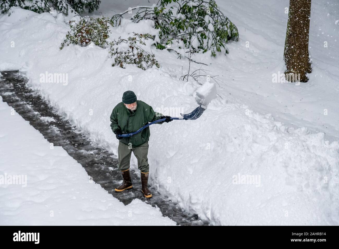 Issaquah, Washington, USA. Mature man shoveling deep snow in his ...