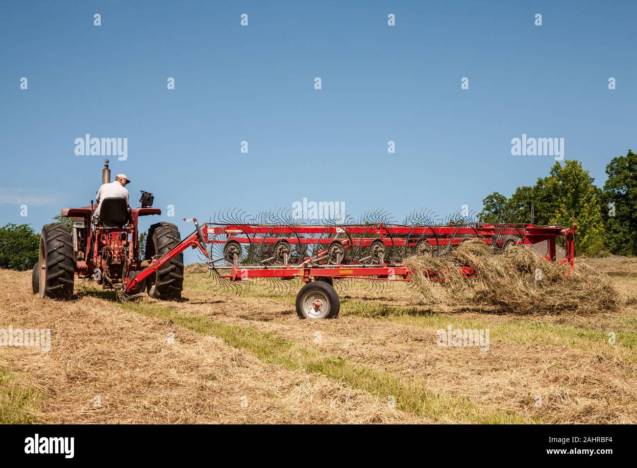 Man on International Harvester Farmall tractor, raking hay in a field ...