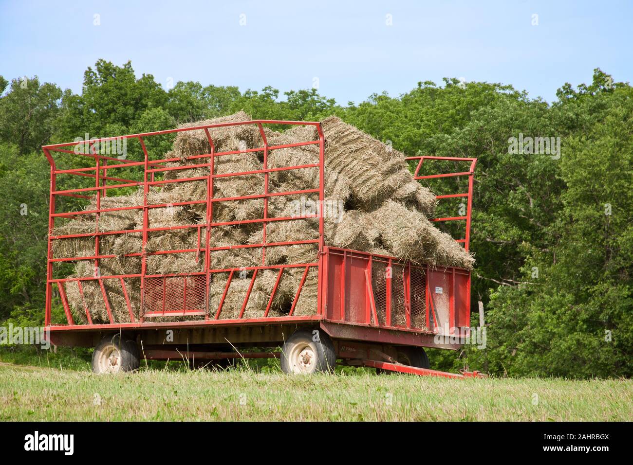 Wagon-load of baled hay, waiting to be taken to the barn in Galena ...