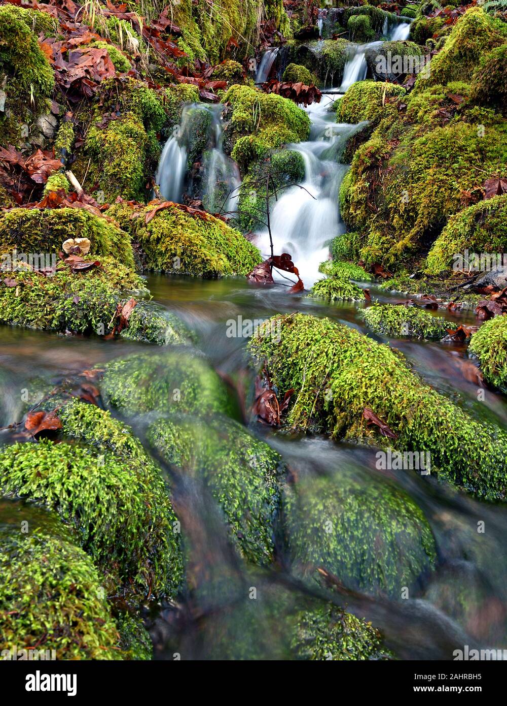 Visit vancouver island hi-res stock photography and images - Alamy