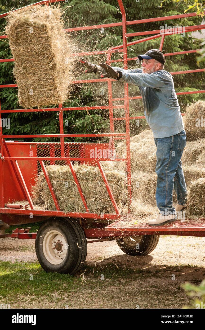 Farm farmer hay wagon hi-res stock photography and images - Alamy