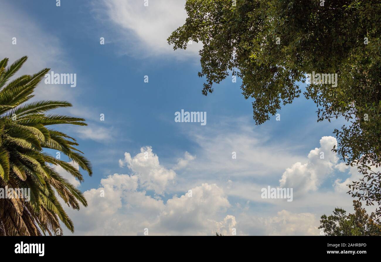 Summer thunderstorm clouds build up in the Highveld sky in Gauteng ...