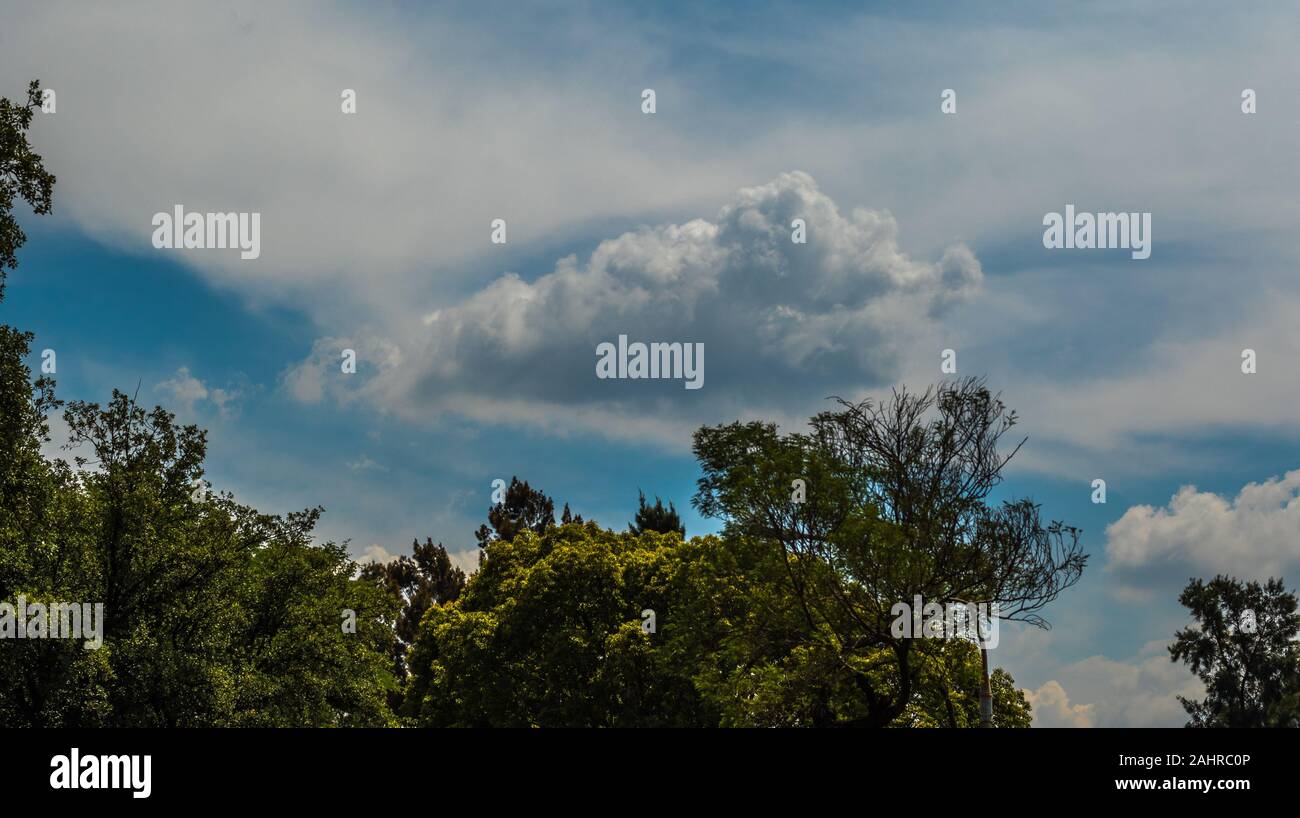 Summer thunderstorm clouds build up in the Highveld sky in Gauteng ...