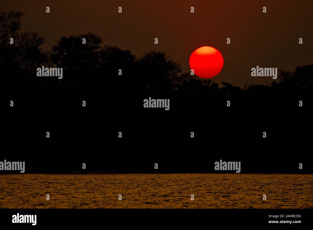Sunset on the Zambezi River, Zimbabwe, Africa Stock Photo - Alamy