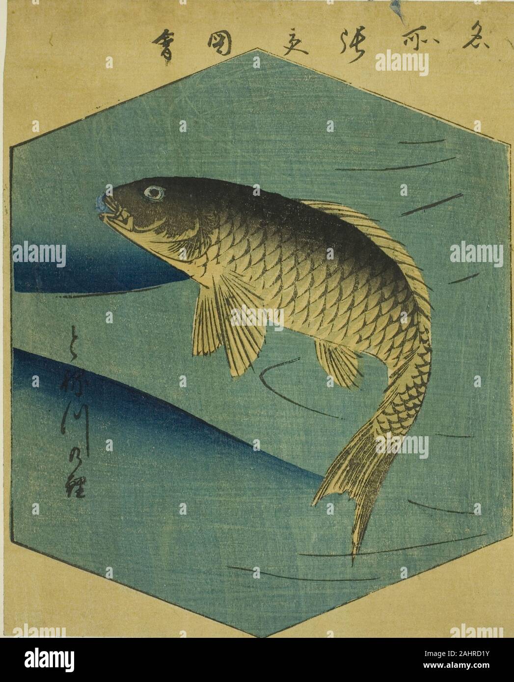 Utagawa Hiroshige. Carp in the Tone River (Tonegawa no koi), section of ...