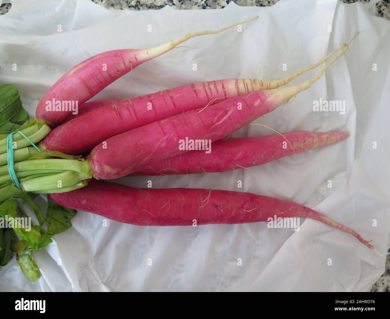 Rabanos hi-res stock photography and images - Alamy