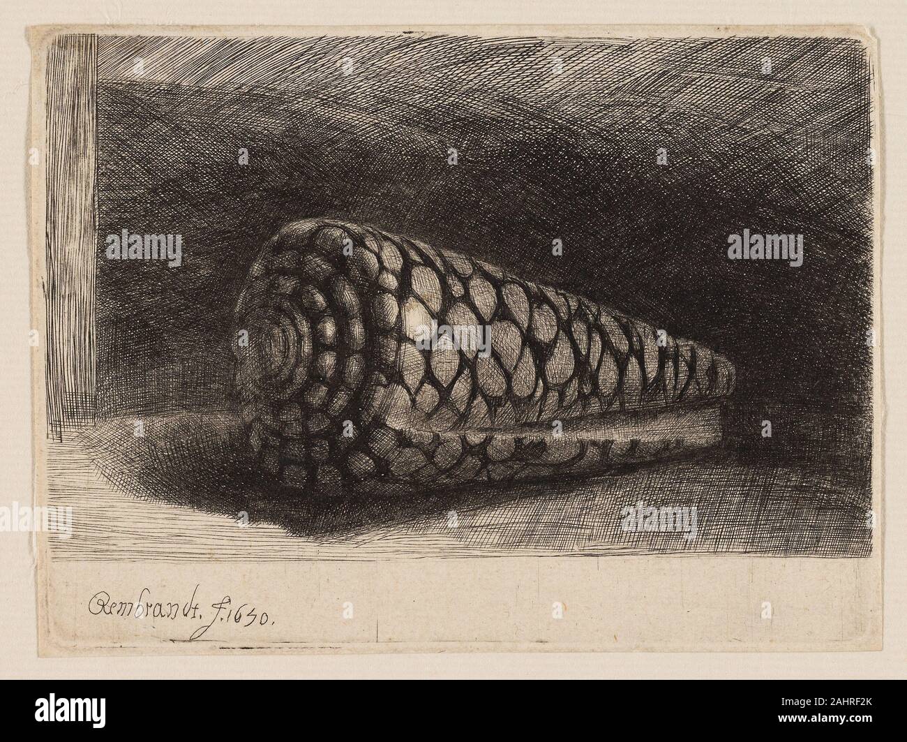 Still life with rembrandt hi-res stock photography and images - Alamy