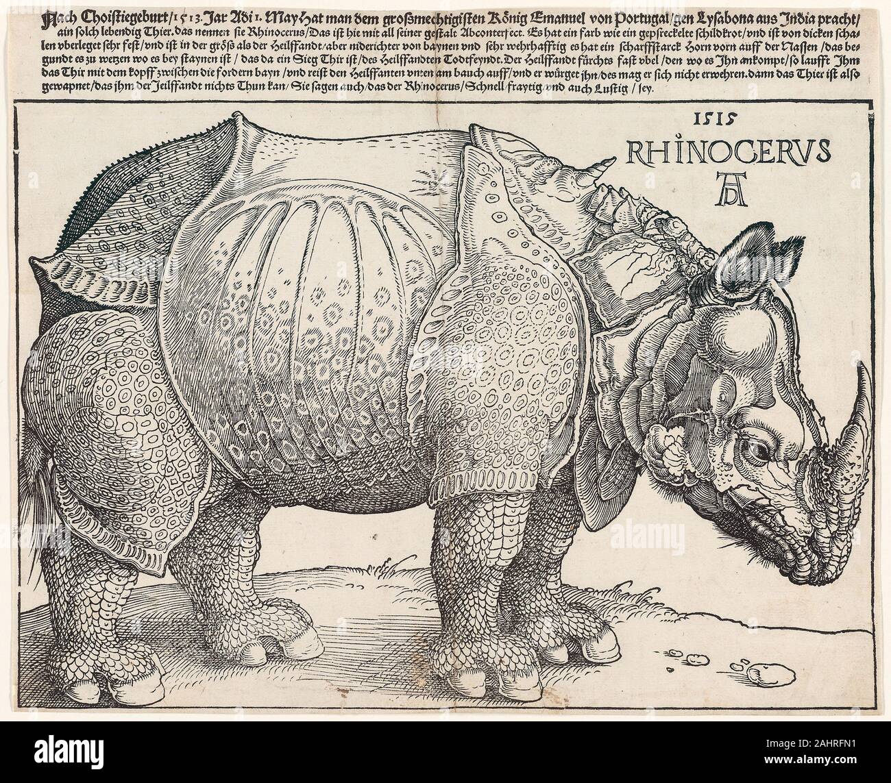 Famous Rhino Painting